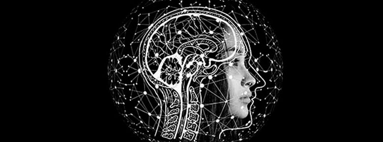 Cbd En El Cerebro Cómo Actúa El Cannabidiol